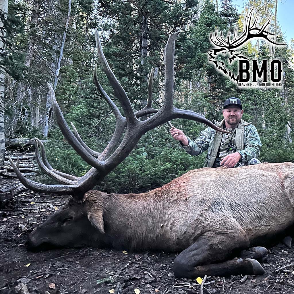 Utah Outfitters | Premier Guides for Hunting & Fishing Adventures ...