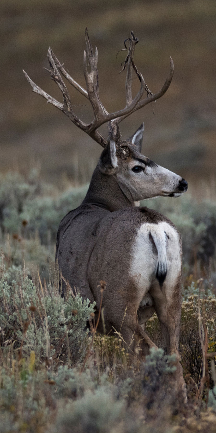 Top Hunting & Fishing Outfitters | Hunt N Fish Network Directory