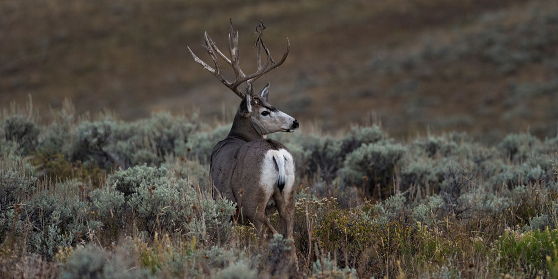 Top Hunting & Fishing Outfitters | Hunt N Fish Network Directory